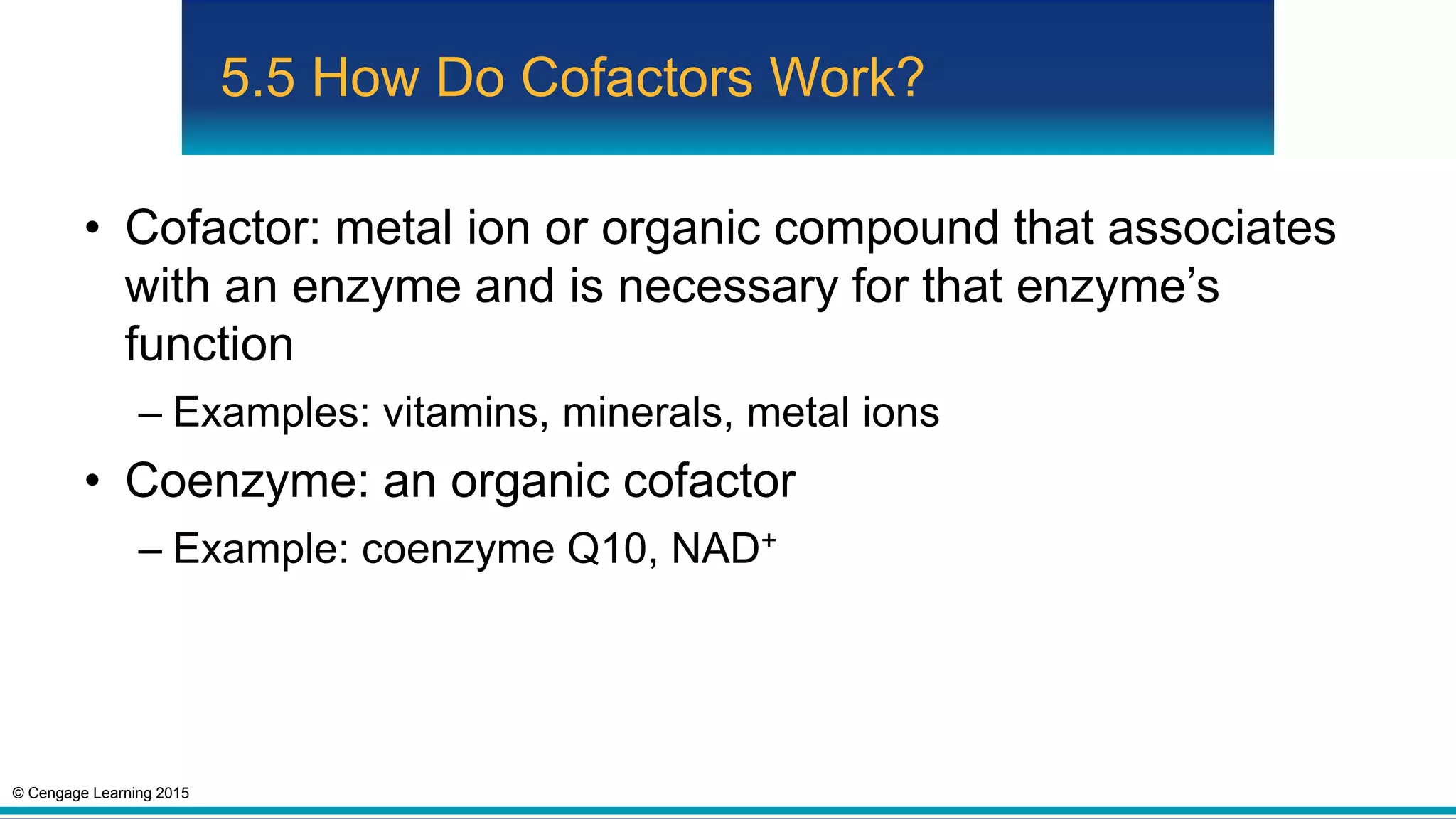 Section 5.5 How do cofactors work? | PPTX