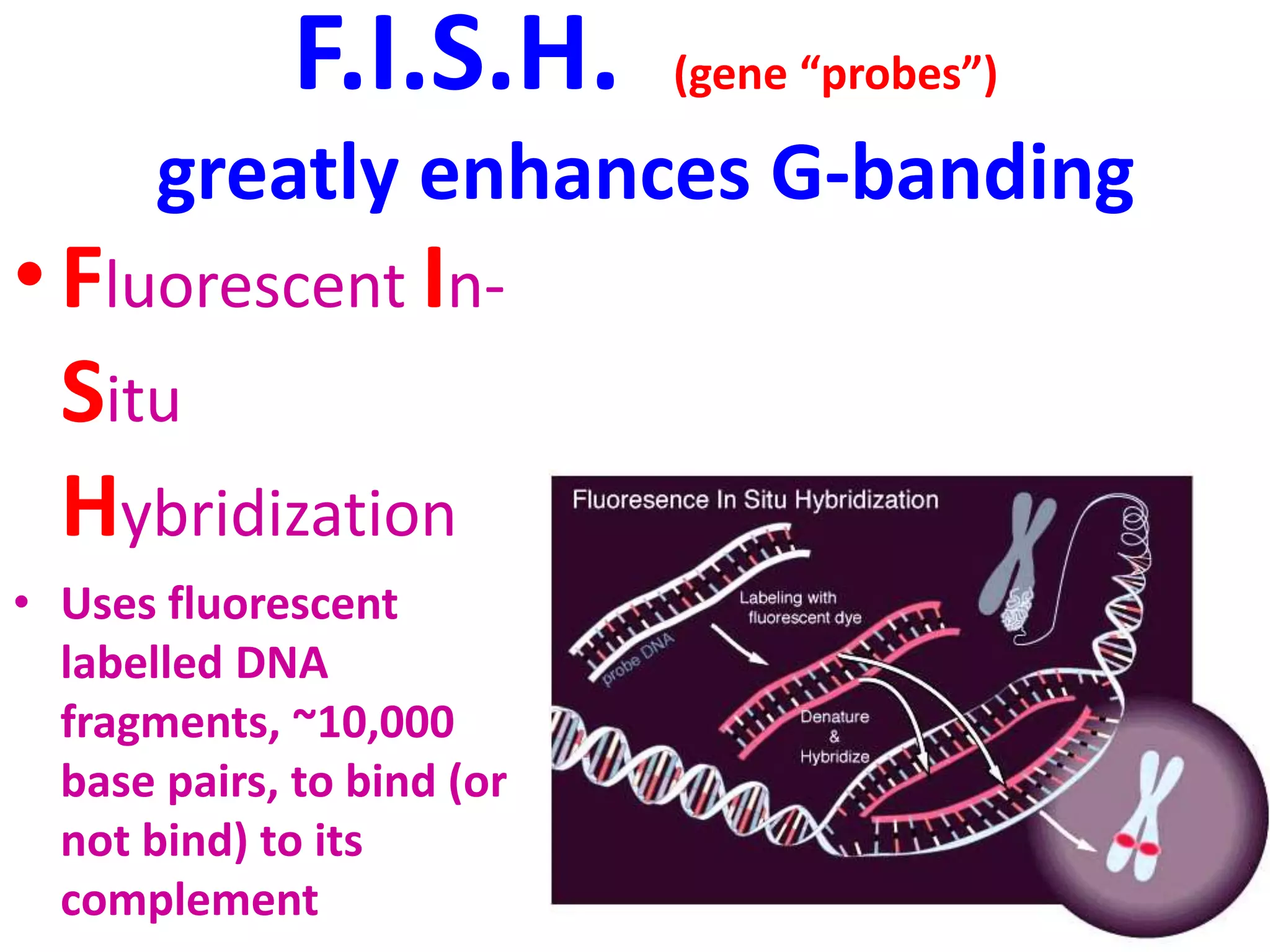 Ch5-Genetics.ppt