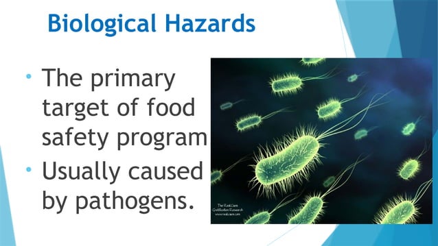 CH5-overview-of-potential-hazards-in-food-service-operations.pptx ...