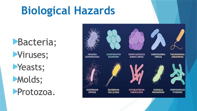 CH5-overview-of-potential-hazards-in-food-service-operations.pptx ...