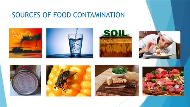 CH5-overview-of-potential-hazards-in-food-service-operations.pptx ...