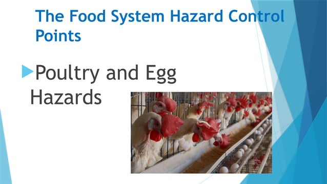 CH5-overview-of-potential-hazards-in-food-service-operations.pptx ...