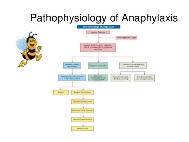 IMMUNOLOGY (ALLERGIC REACTIONS AND ANAPHYLAXIS)
