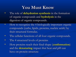 AP Bio Chapter 5 (Carbohydrates) | PPT