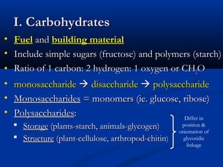 AP Bio Chapter 5 (Carbohydrates) | PPT