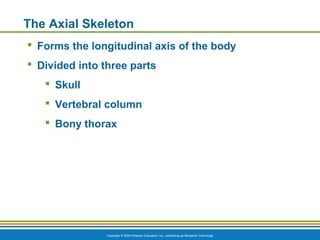 CVA A&P - Chapter 5b: Honors Axial Skeleton | PPT