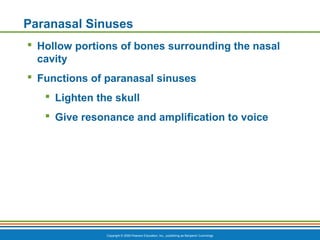 CVA A&P - Chapter 5b: Honors Axial Skeleton | PPT