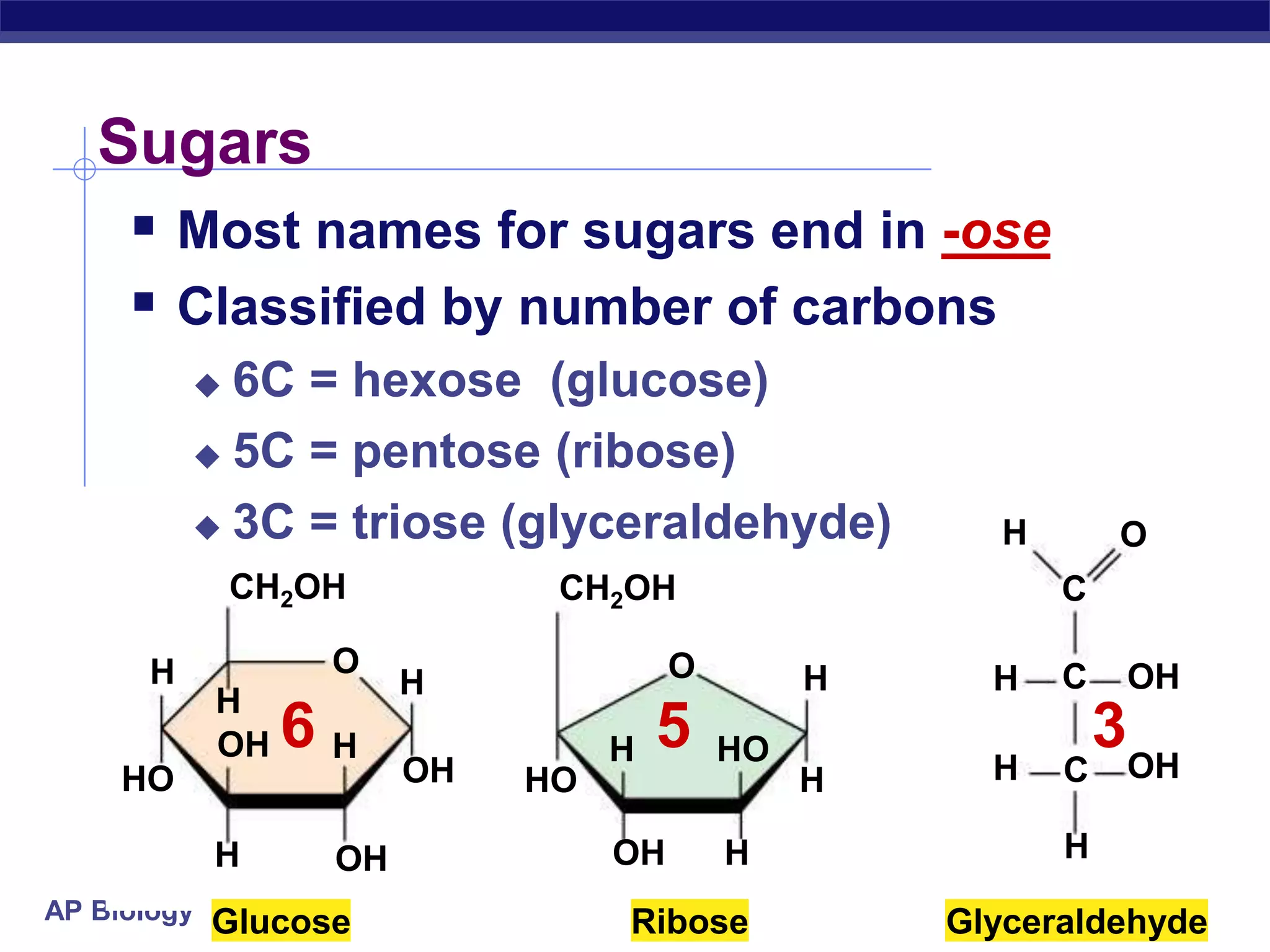 ch_5_carbohydrates.ppt