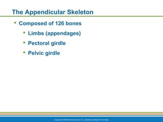 CVA A&P - Chapter 5c: Honors Appendicular Skeleton | PPT | Death ...