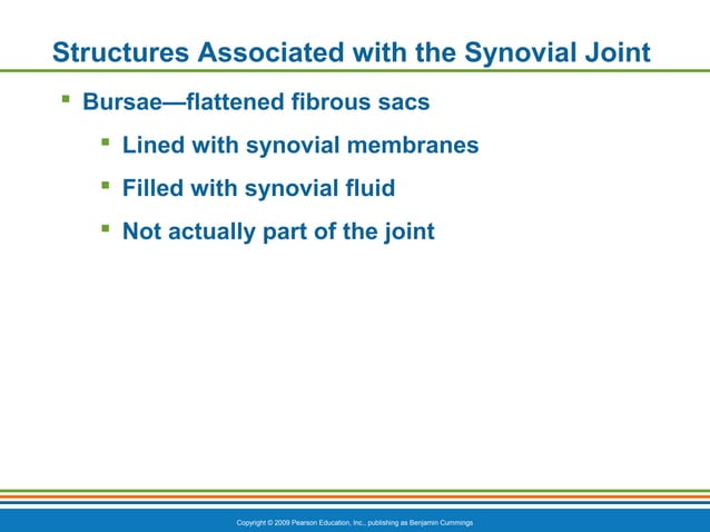CVA A&P - Chapter 5d: Joints | PPT