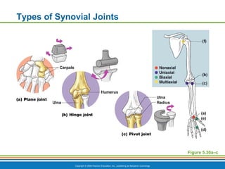 CVA A&P - Chapter 5d: Joints | PPT