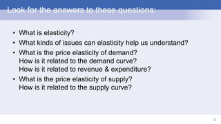 Ch 5 Elasticity and Its Application.pptx