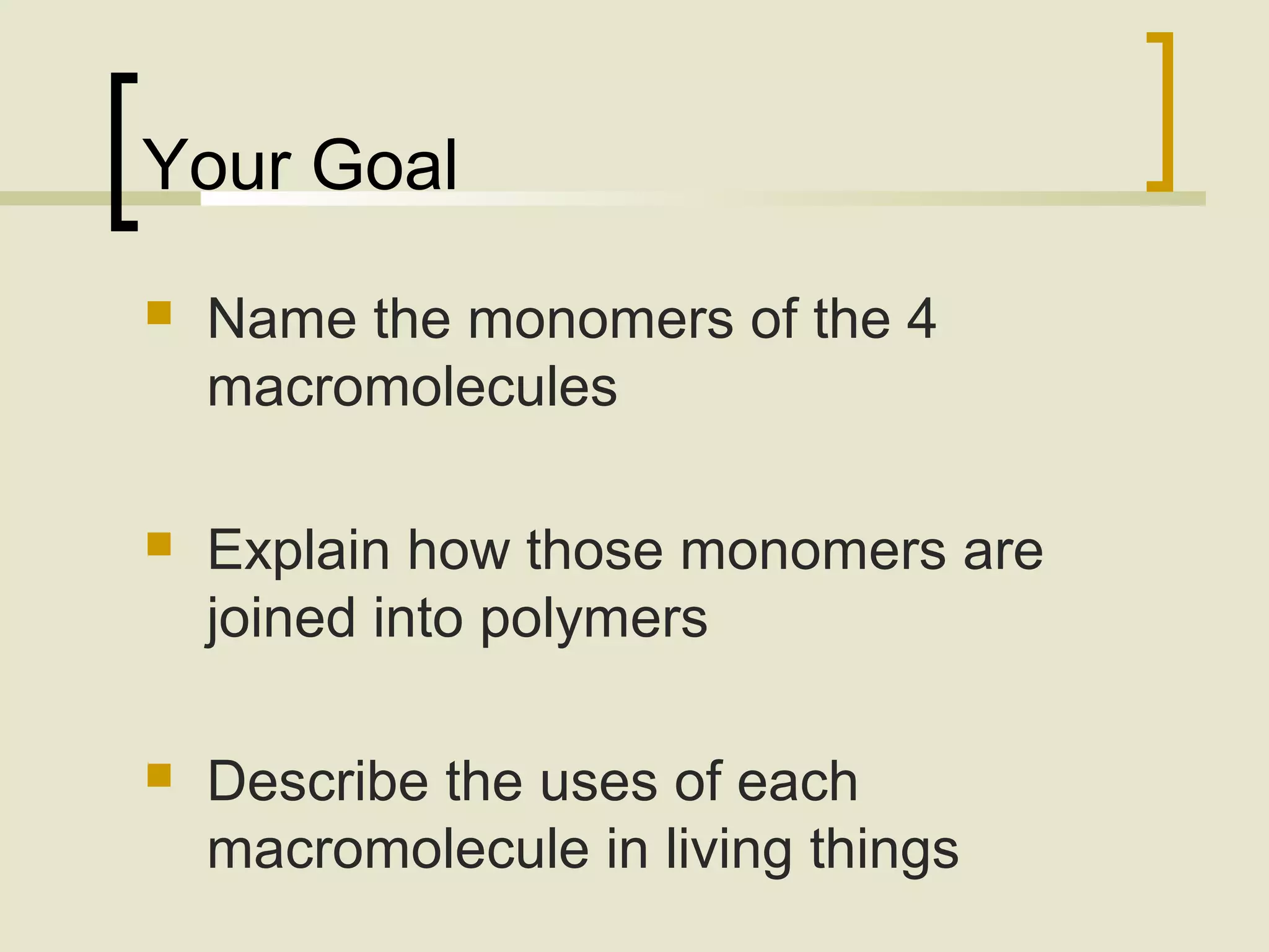 AP BIO Ch 5 ppt | PPT