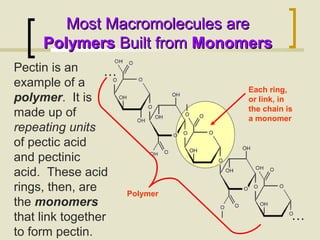 AP BIO Ch 5 ppt | PPT