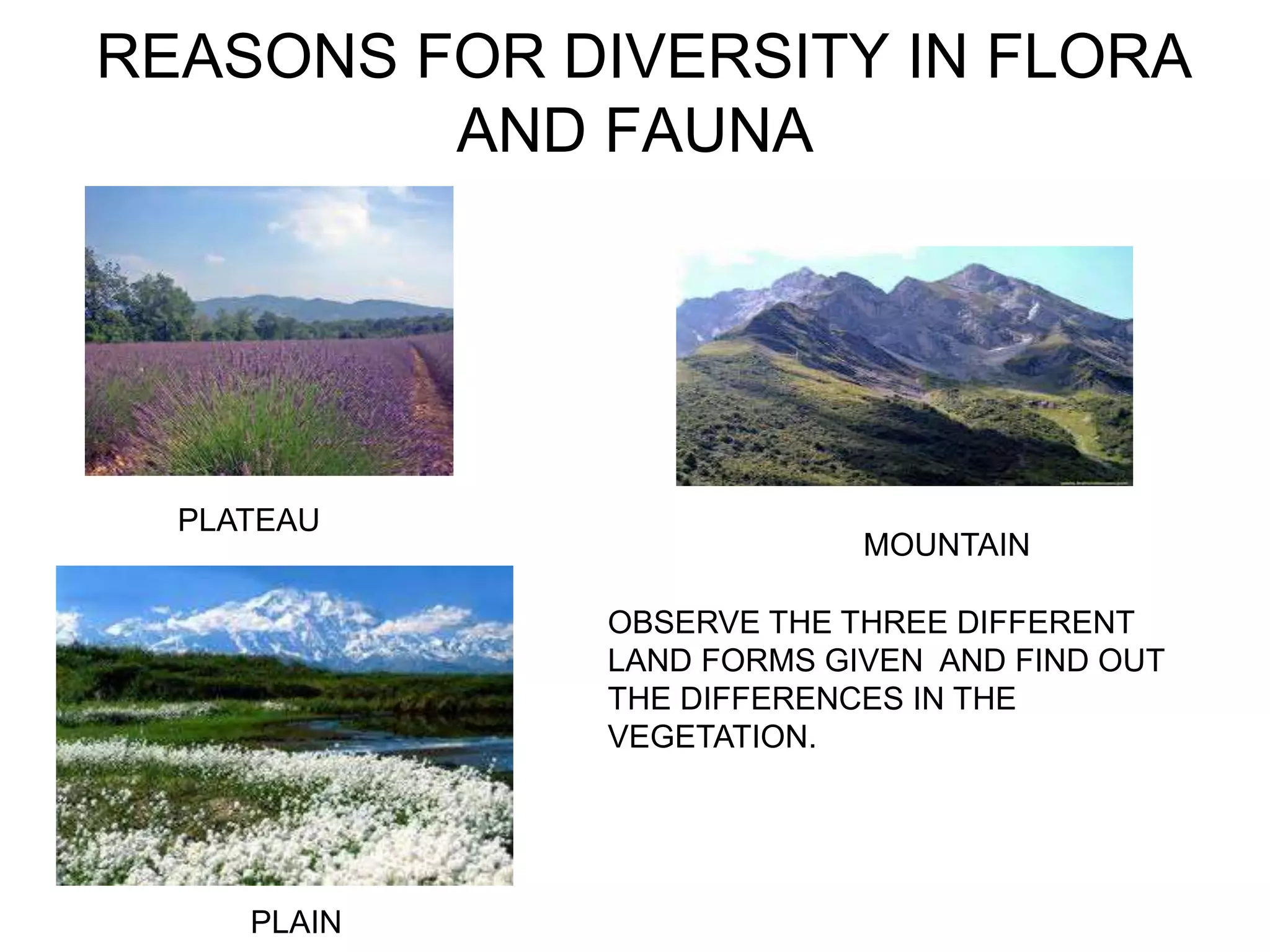 NATURAL VEGETATION AND WILDLIFE CLASS 9 | PPT