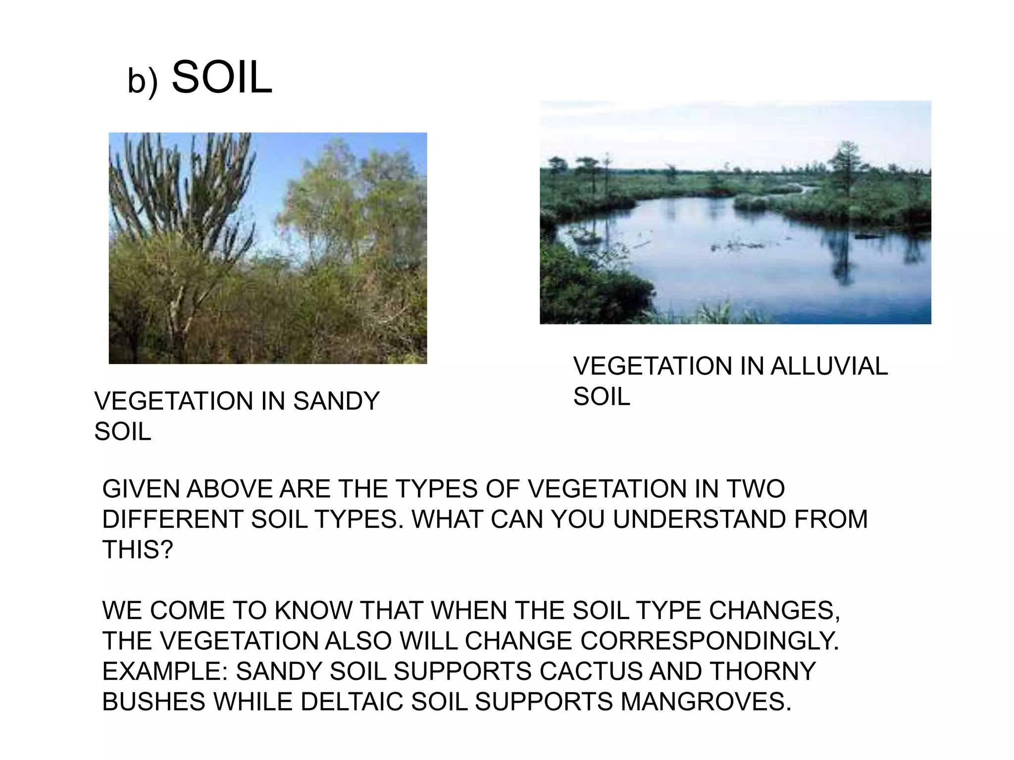 NATURAL VEGETATION AND WILDLIFE CLASS 9 | PPT