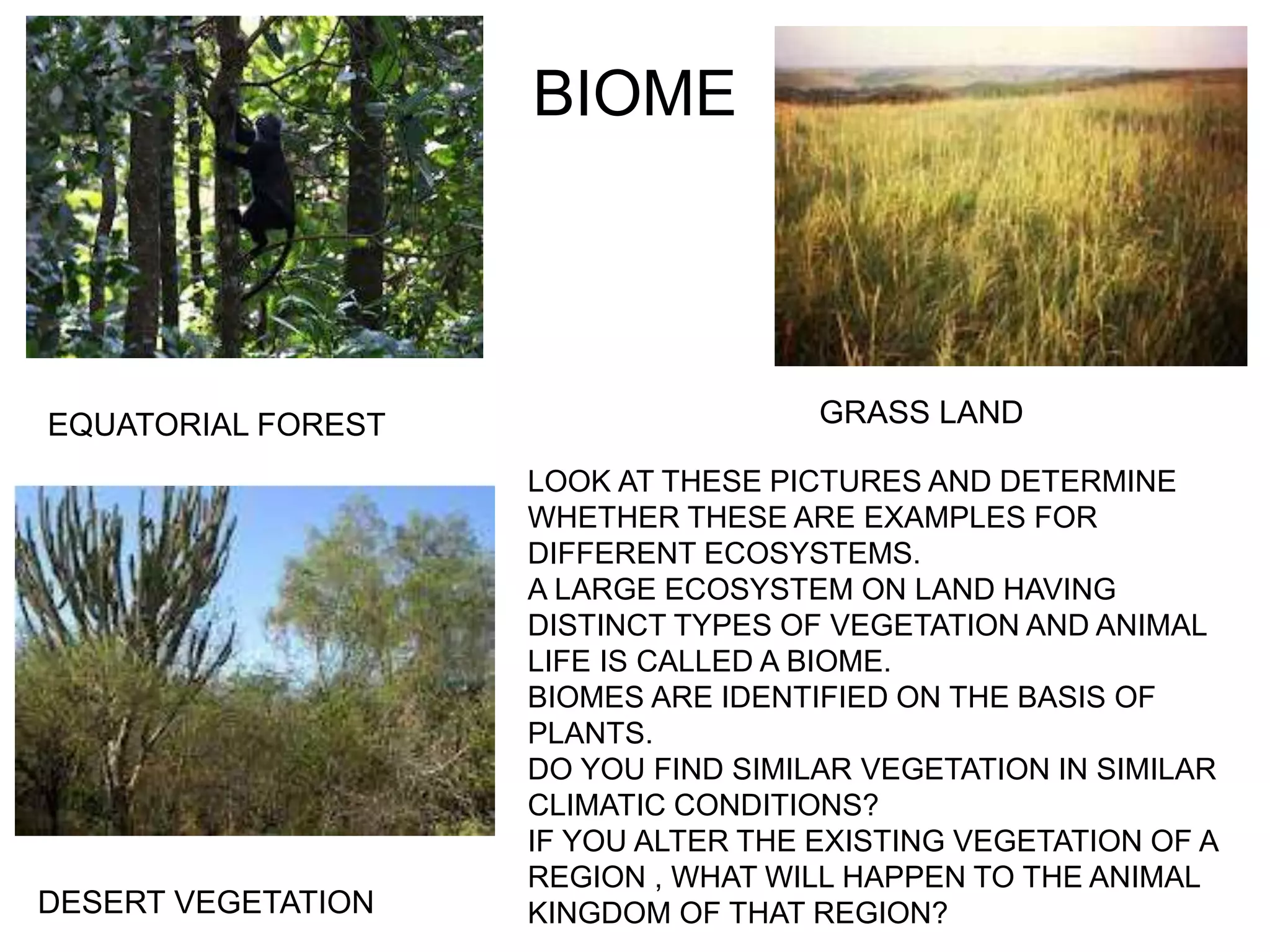 NATURAL VEGETATION AND WILDLIFE CLASS 9 | PPT
