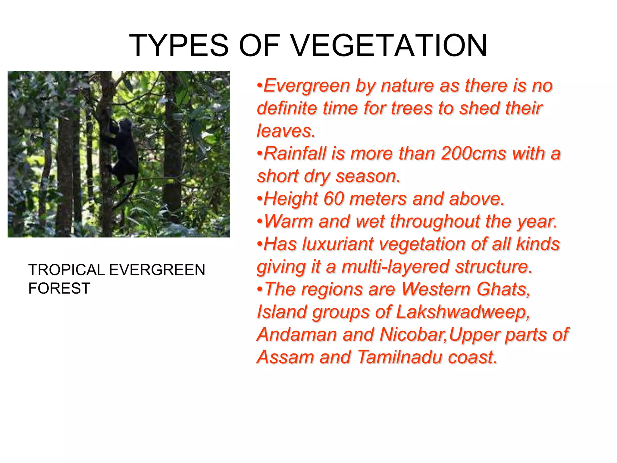 NATURAL VEGETATION AND WILDLIFE CLASS 9 | PPT