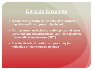 Chapter 5 Presentation | PPT