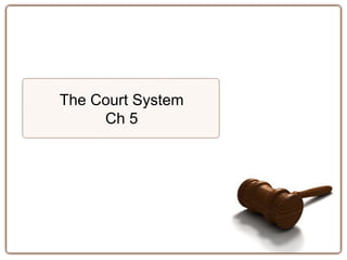 Ch 5 the court system | PDF