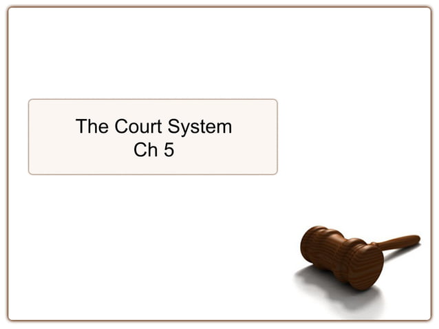 Ch 5 the court system | PDF