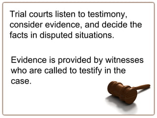 Ch 5 the court system | PDF
