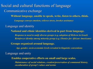Chapter 6 PowerPoint | PPT