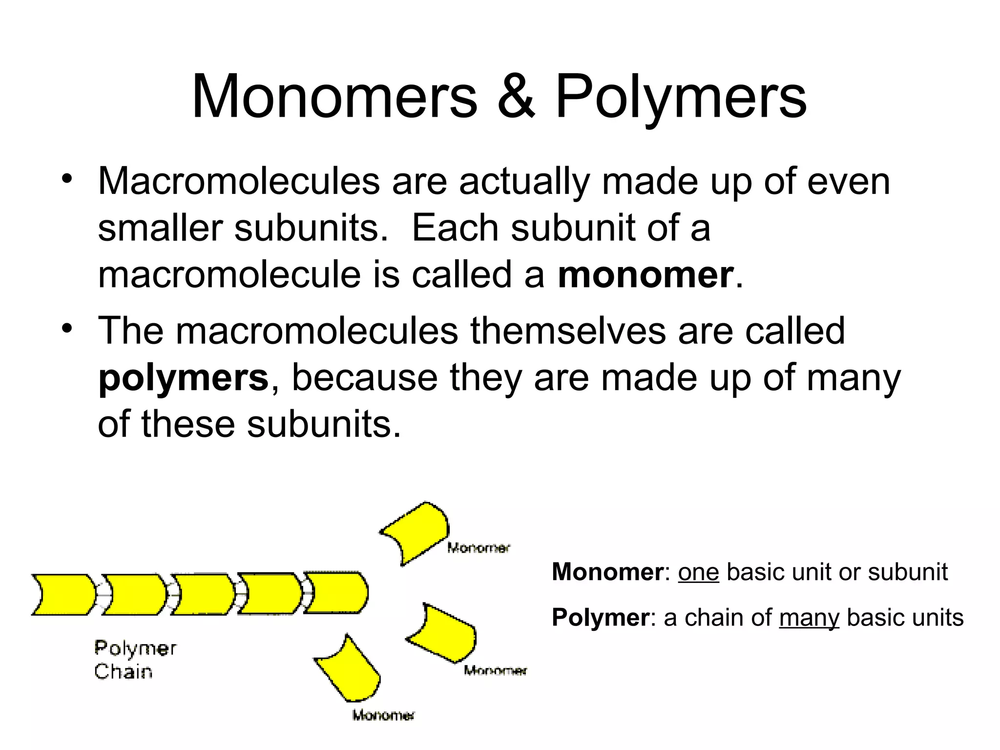 Ch6.4 - Building Blocks of Life | PPT