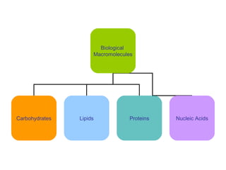 Ch6.4 - Building Blocks of Life | PPT