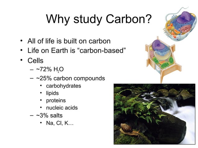 Ch6.4 - Building Blocks of Life | PPT