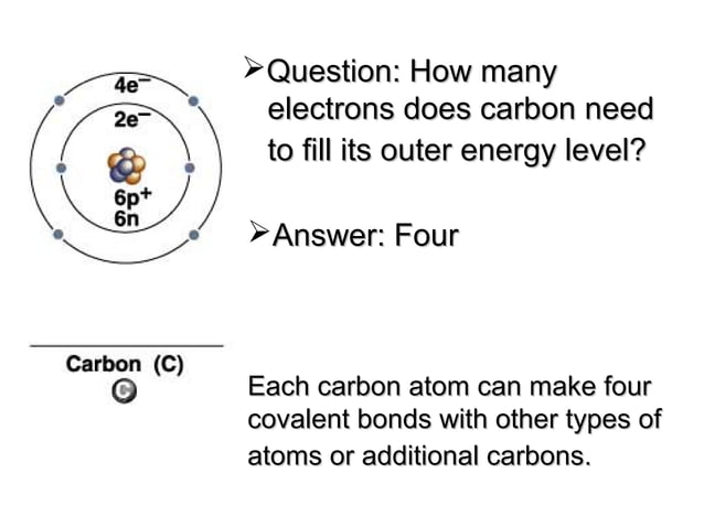 Ch6.4 - Building Blocks of Life | PPT