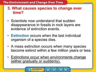 Ch. 6.1 Fossils & Geologic Time | PPT