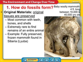 Ch. 6.1 Fossils & Geologic Time | PPT