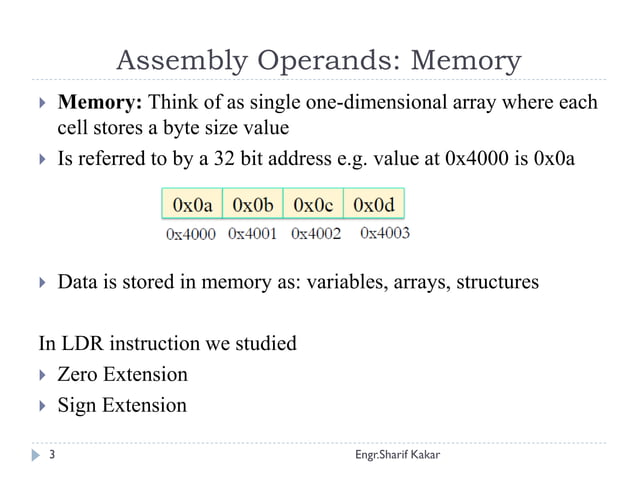 Memory Access Instructions | PDF