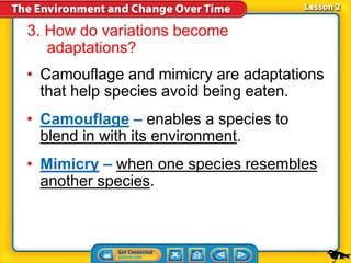 Ch. 6.2 Theory of Evolution & Natural Selection | PPTX
