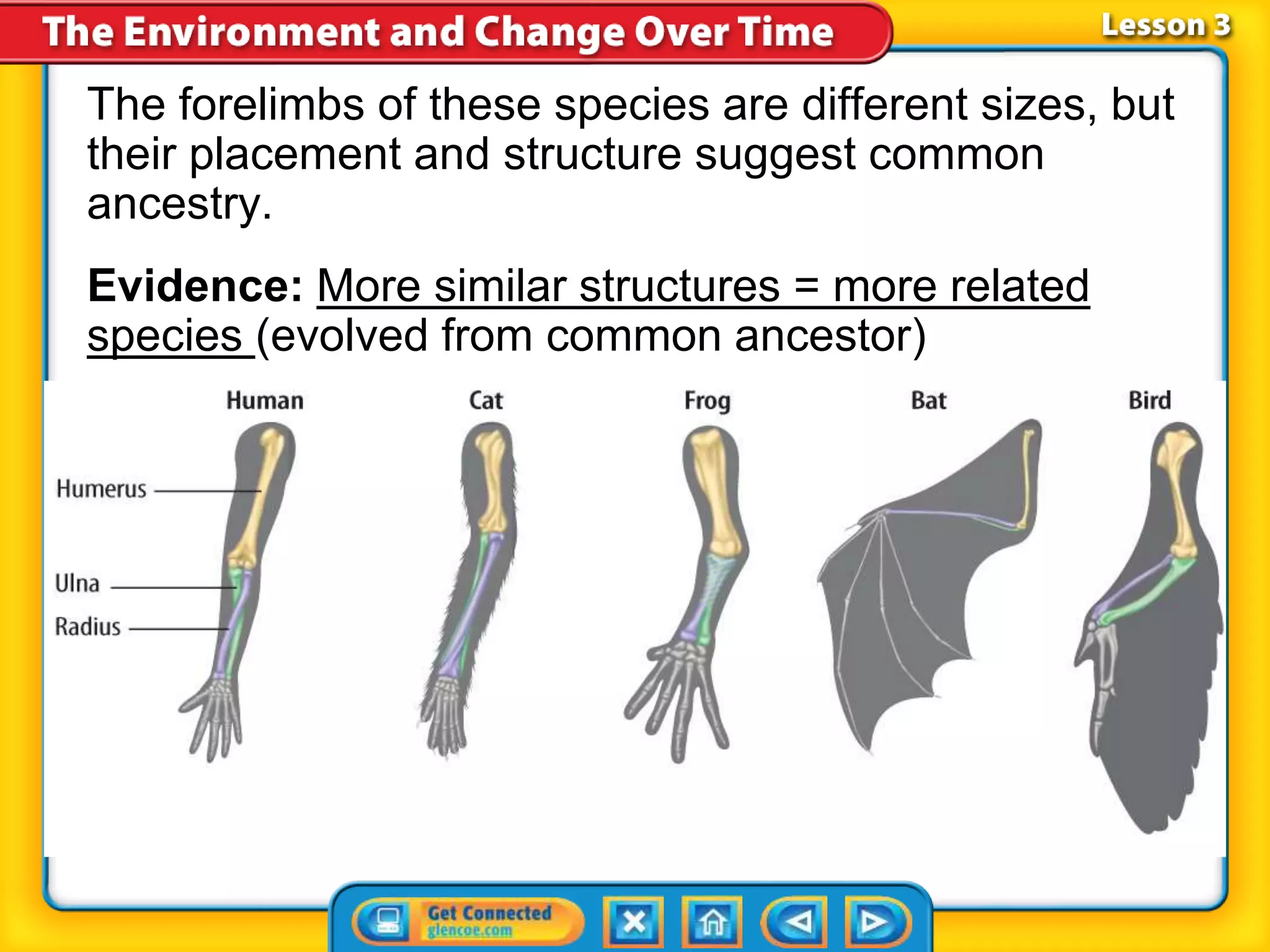 Ch. 6.3 Evidence of Evolution | PPT