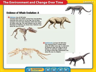 Ch. 6.3 Evidence of Evolution | PPT