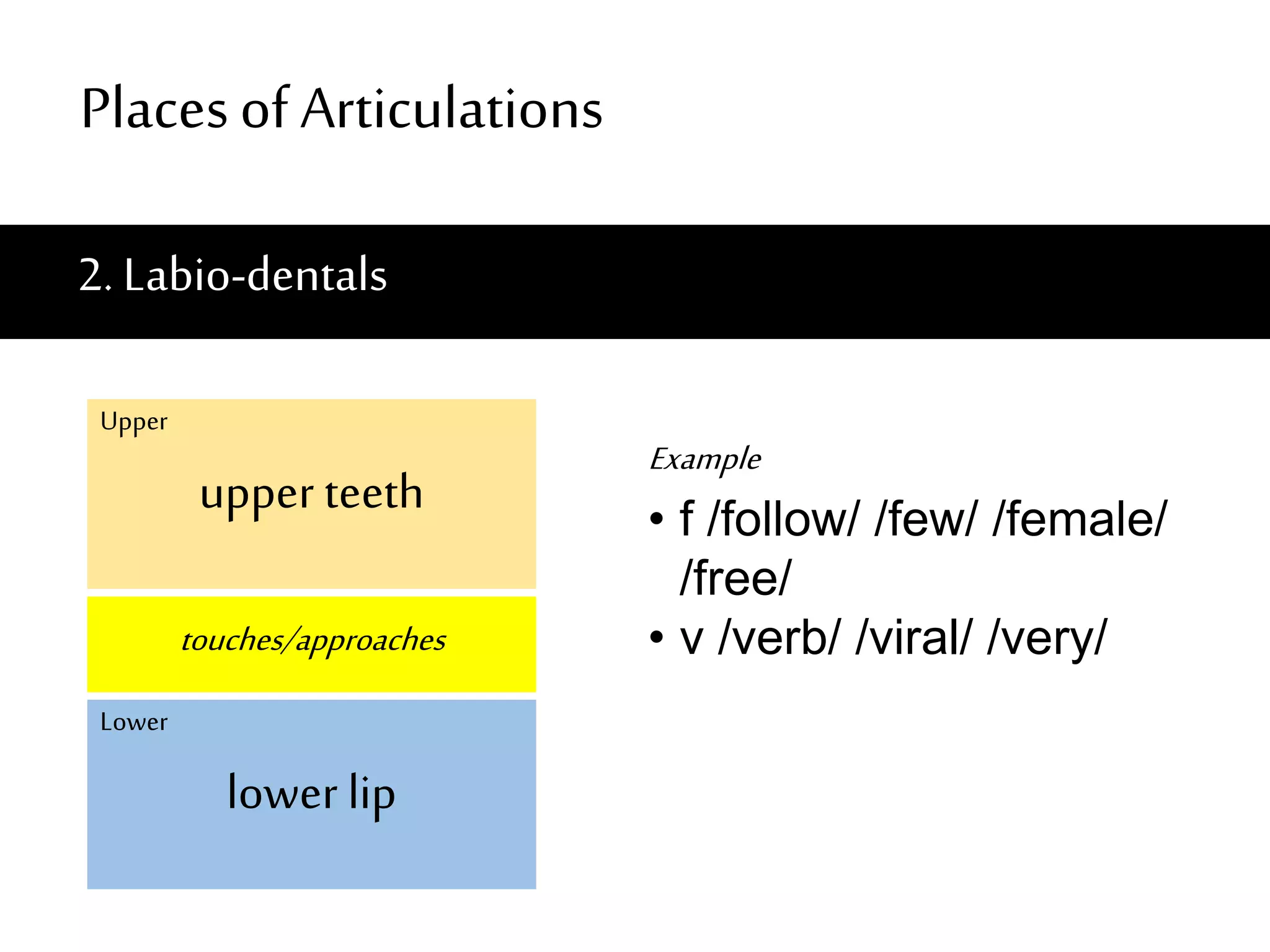 English Phonology - 01-Intro & Organs of Speech | PPTX