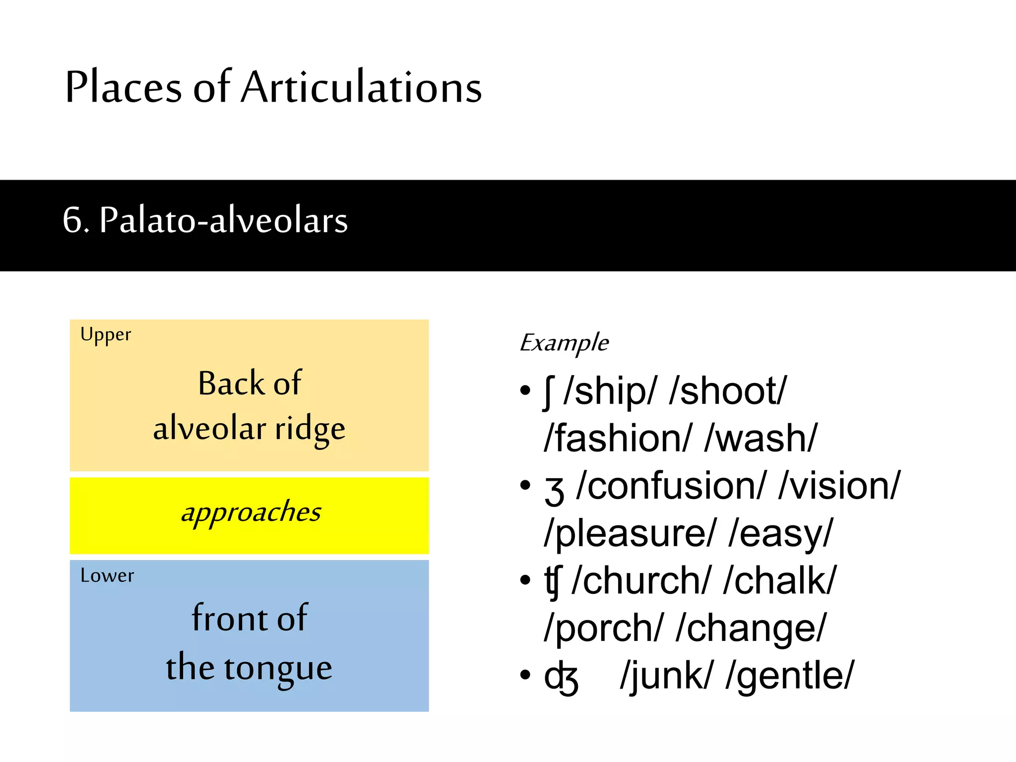 English Phonology - 01-Intro & Organs of Speech | PPTX