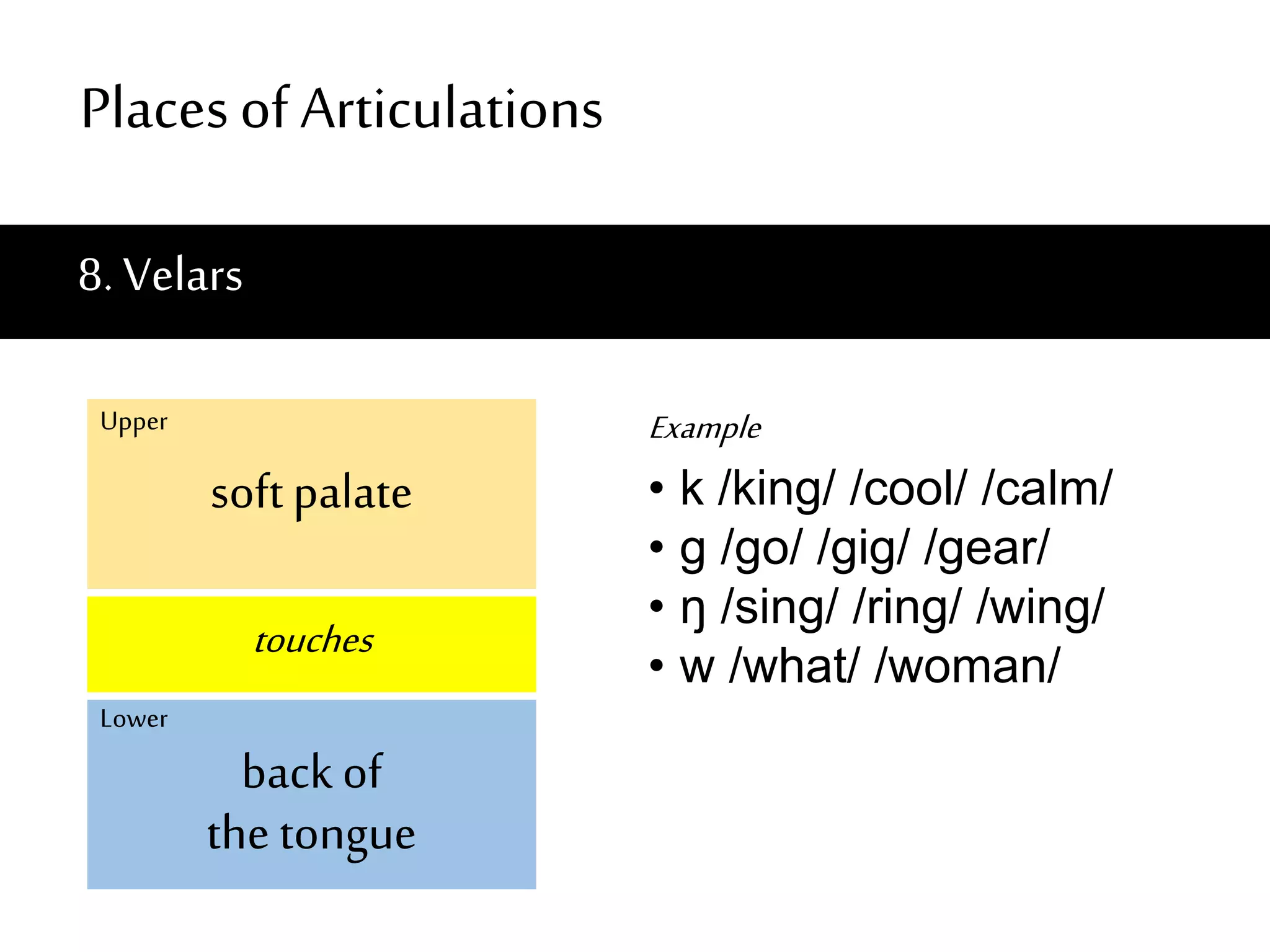 English Phonology - 01-Intro & Organs of Speech | PPTX