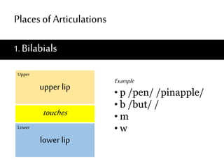English Phonology - 02-Places of Articulation | PPT