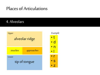 English Phonology - 02-Places of Articulation | PPTX
