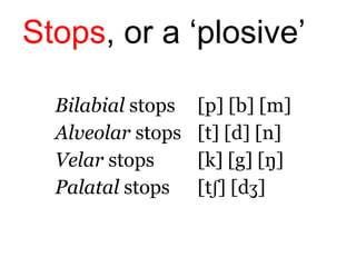 English Phonology - 03-Manners of Articulation | PPTX