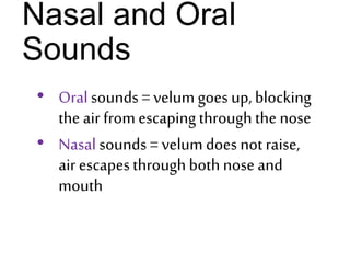 English Phonology - 03-Manners of Articulation | PPTX