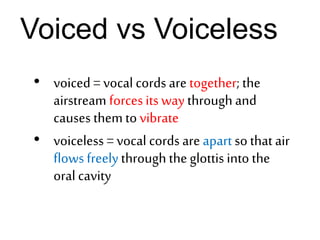 English Phonology - 03-Manners of Articulation | PPTX