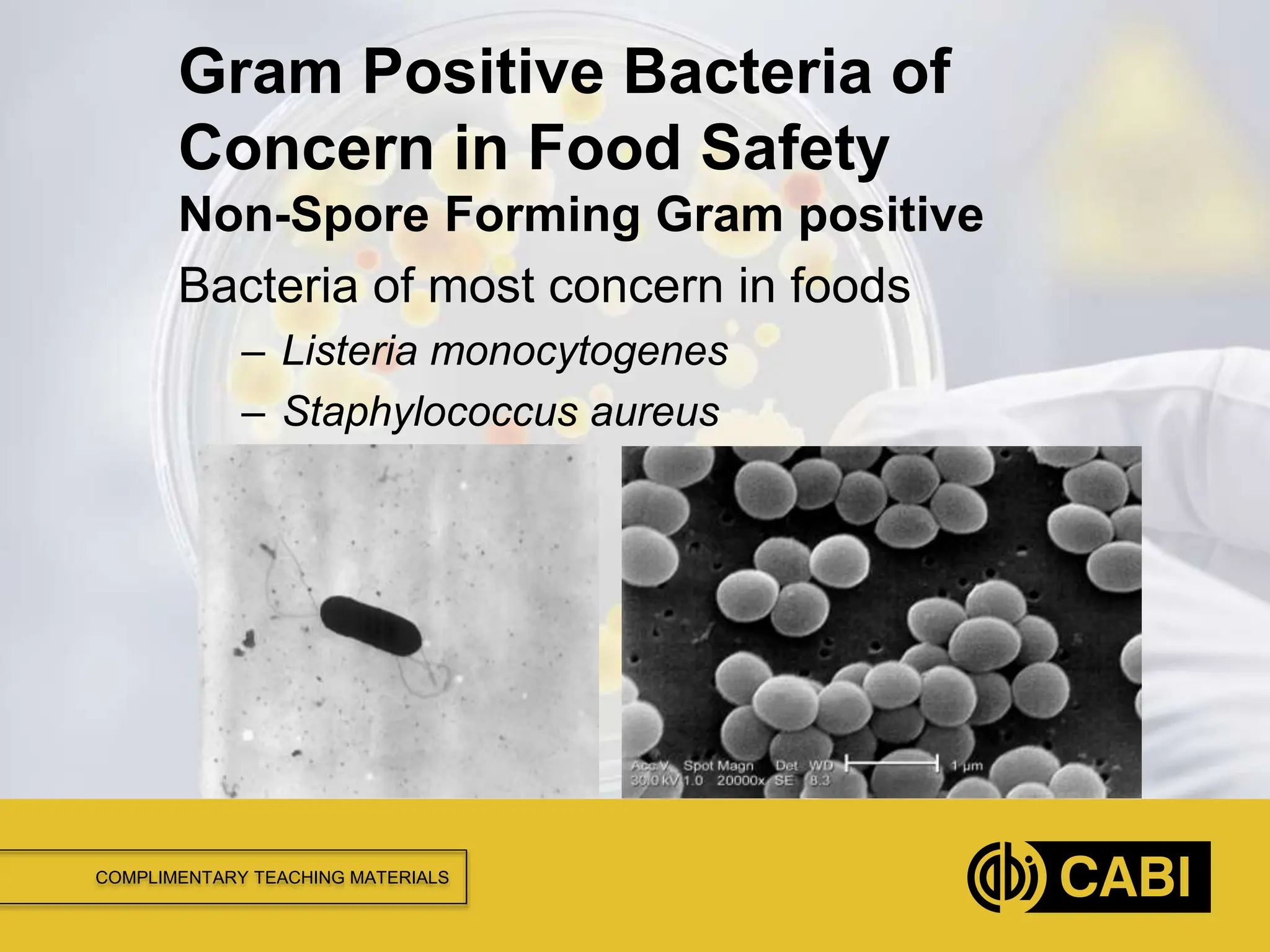 Ch6-Microbial-Food-Safety-Chapt-6 (1).pptx