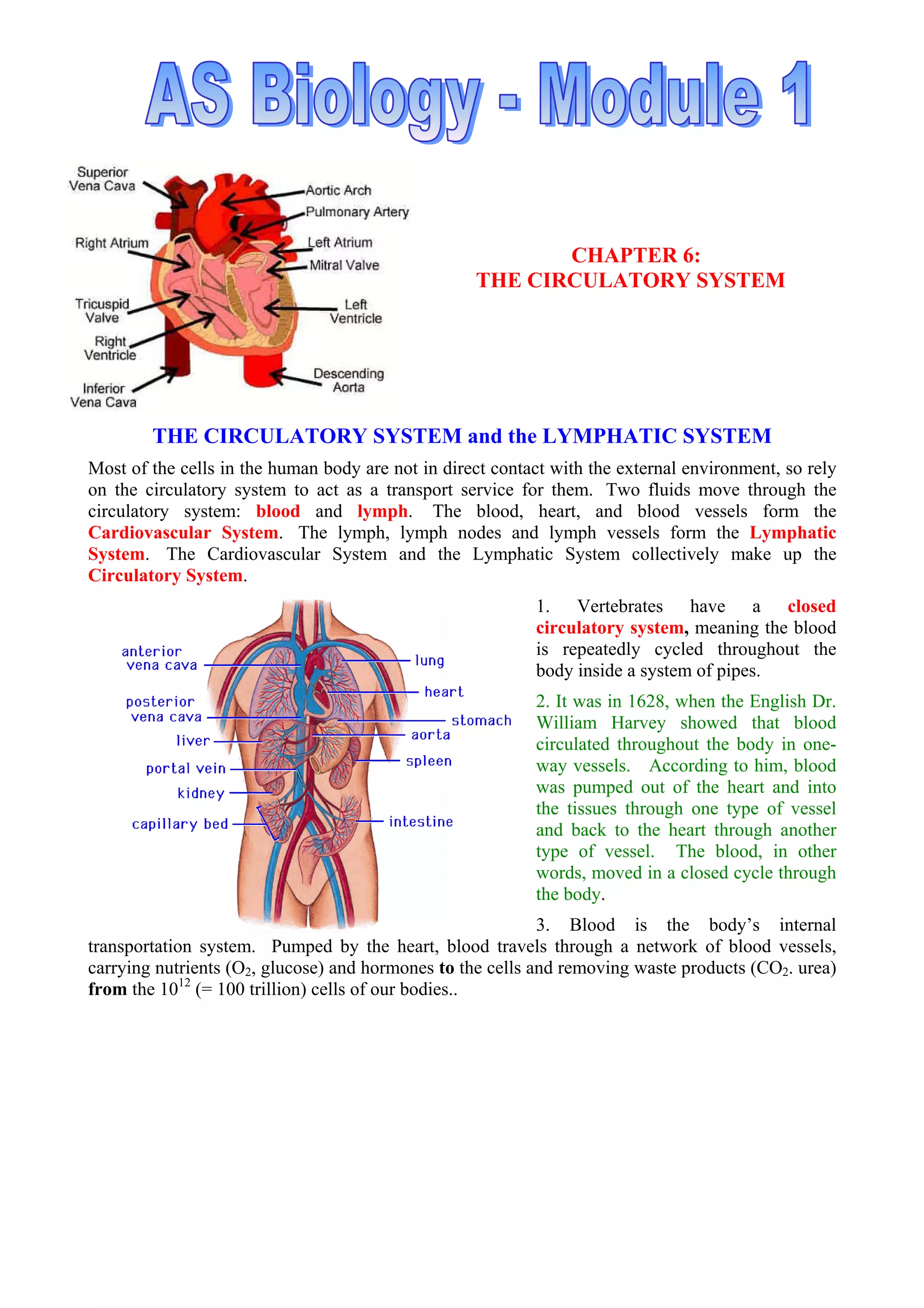 Ch 6 the circulatory system | PDF