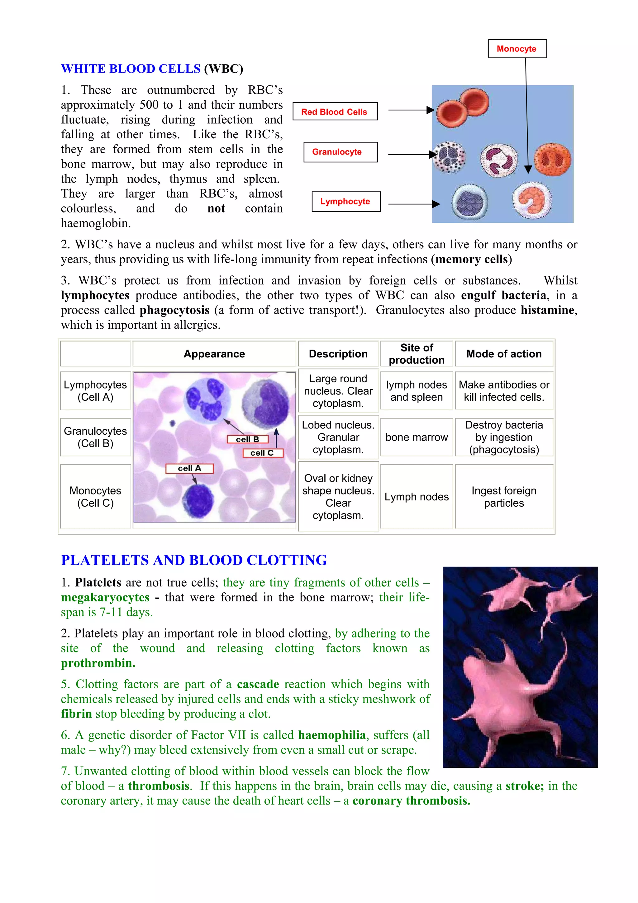 Ch 6 The Circulatory System Pdf