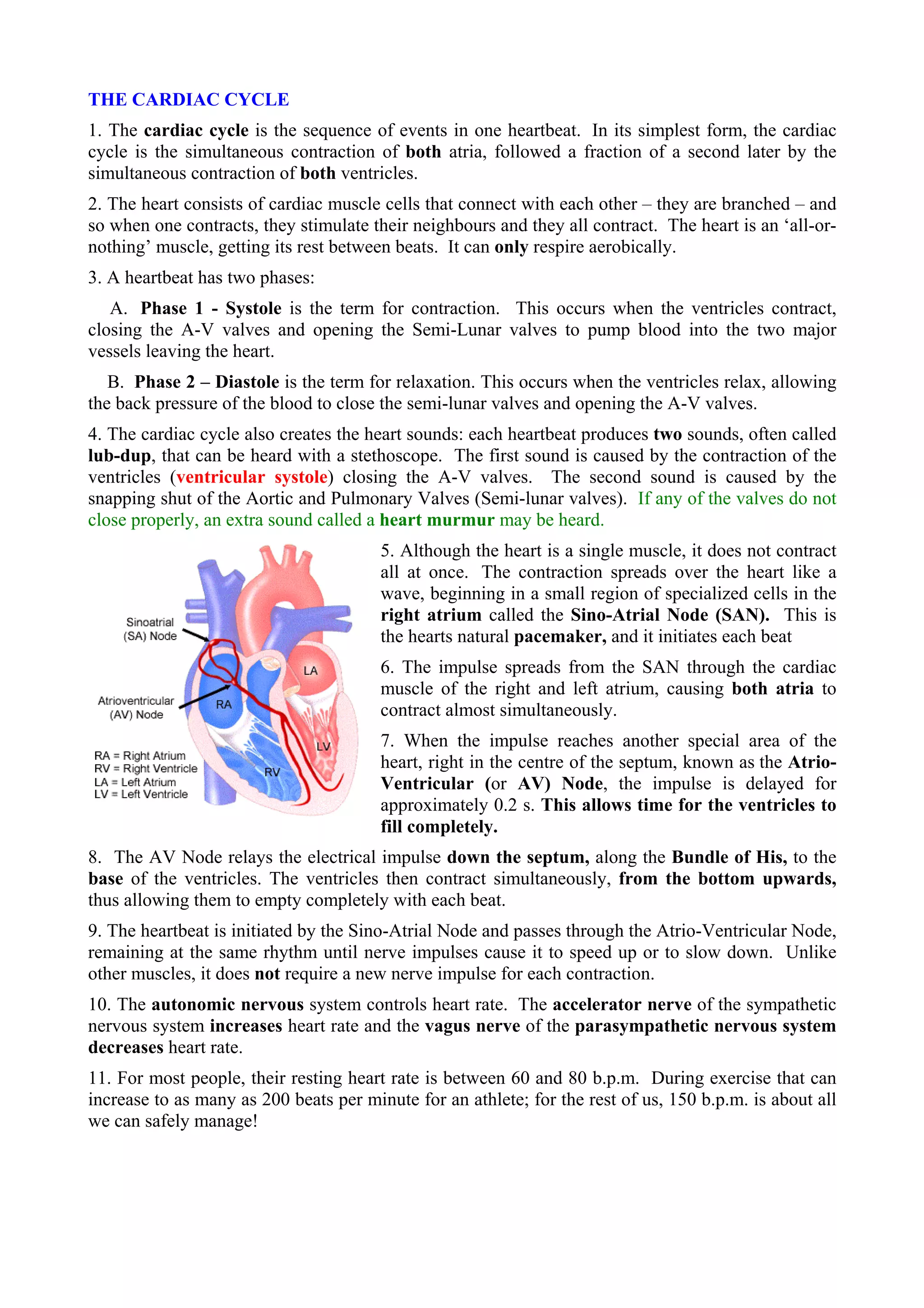 Ch 6 the circulatory system | PDF