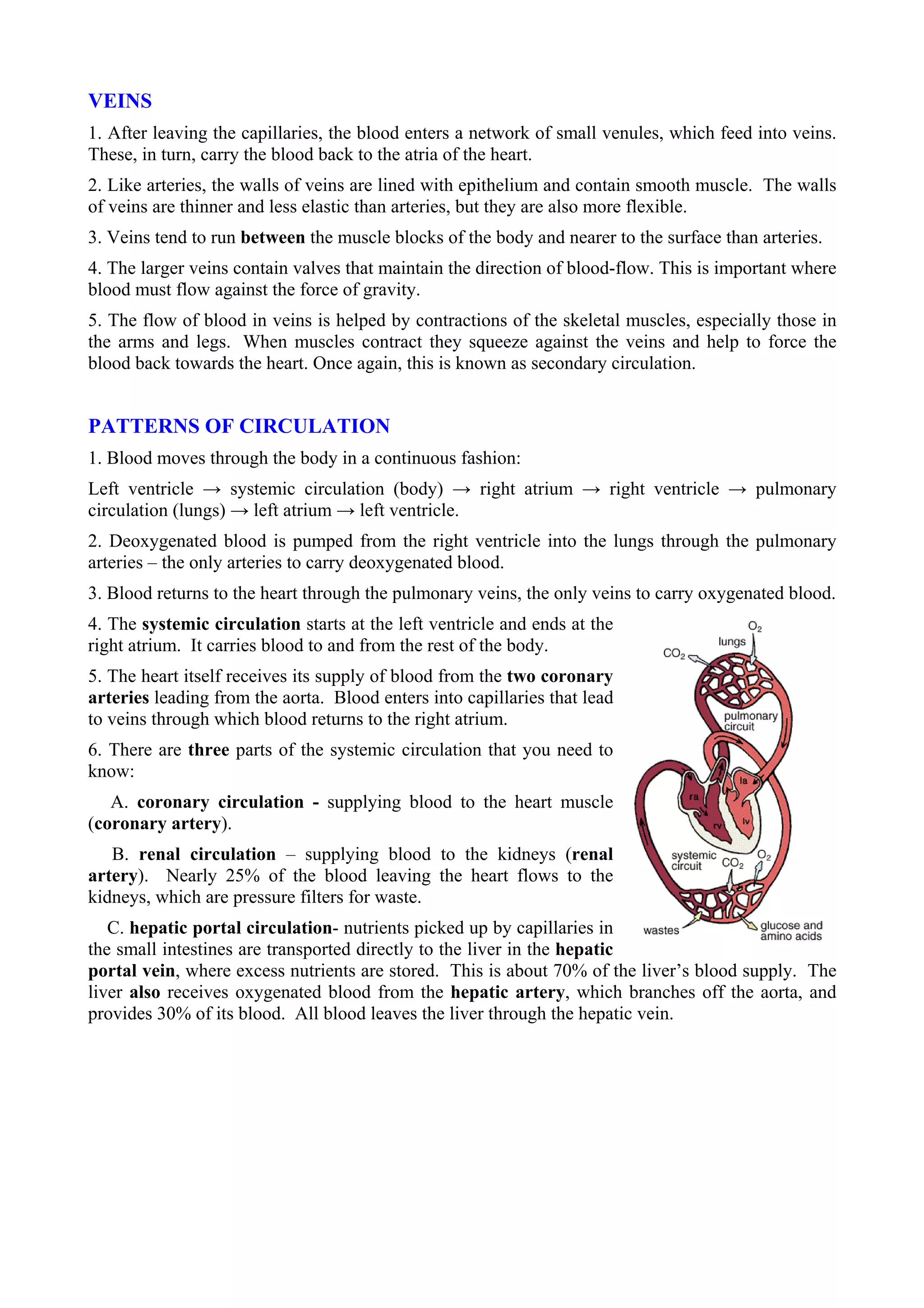 Ch 6 the circulatory system | PDF